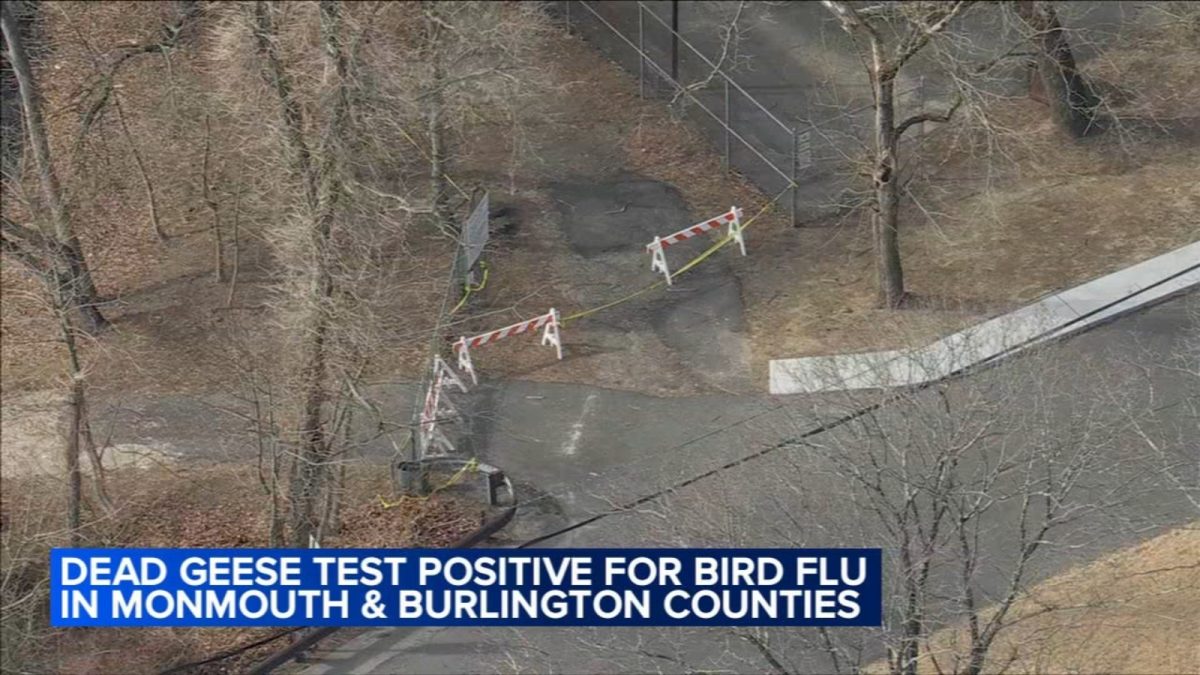 Bird flu detected in 2 New Jersey counties – Total News