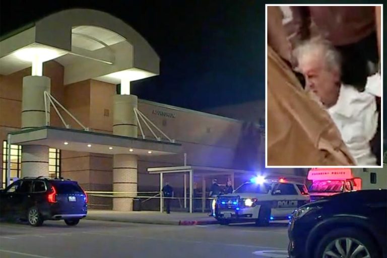 Elderly gunman tackled by parent after opening fire on Texas high ...