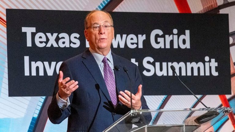BlackRock CEO Fink’s letter to investors cuts DEI references – Total News