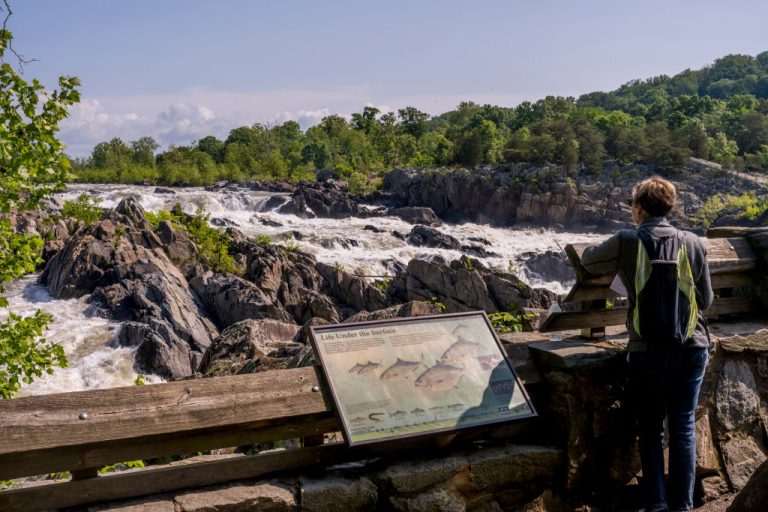Here are the 10 top states for retirees in 2025 – Total News