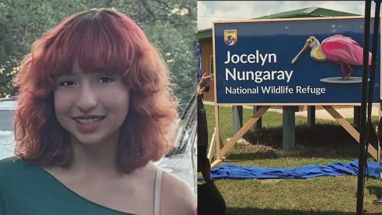 Jocelyn Nungaray recognized in unanimous House vote following tragic ...