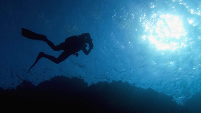 Scuba diving brings in up to $20 billion a year, providing conservation ...