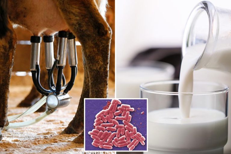 21 people, including 6 young children, fall ill with E. coli and food ...