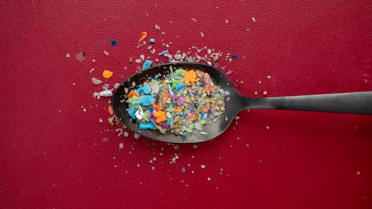 Avoid Plastic: 7 Kitchen Items That May Contain Microplastics – Total News