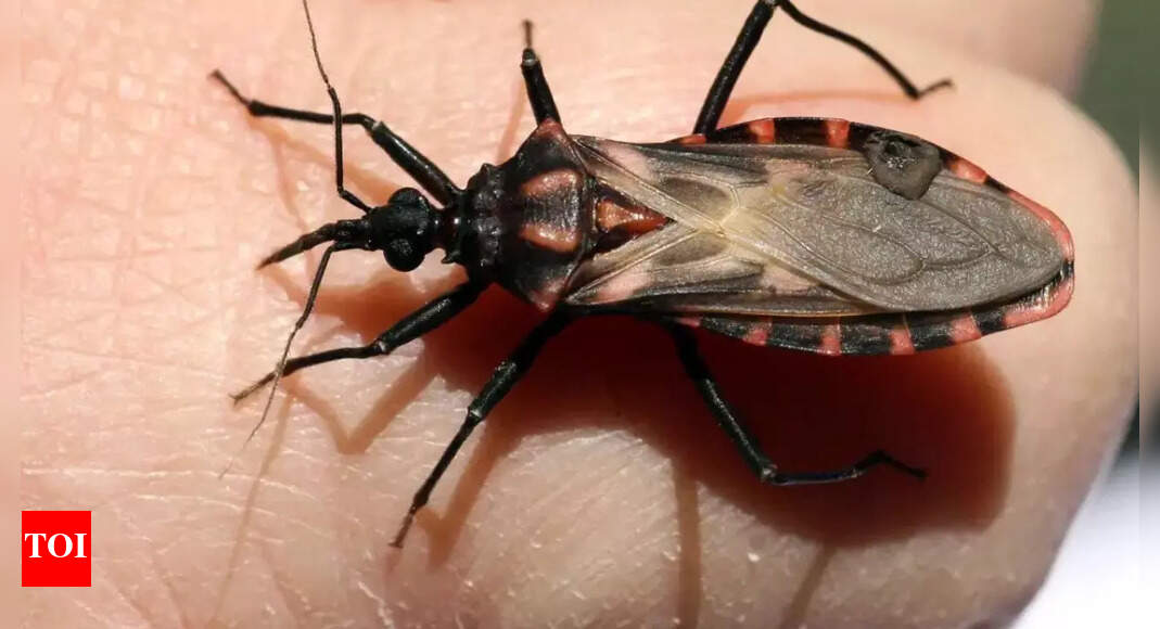 Dangerous ‘Kissing Bugs’ spreading throughout the US; Which states are ...