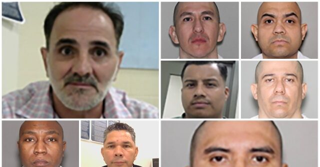 Houston ICE Captures 822 Criminal Immigrants in Weeklong Operation ...