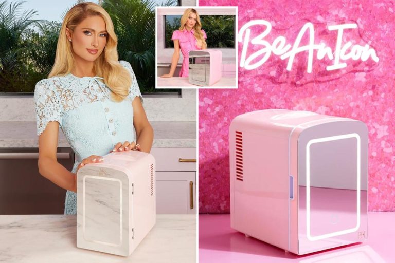 Mini fridges by Paris Hilton recalled due to multiple fire incidents ...