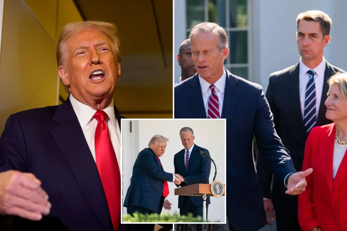 Trump urges Senate Republicans to use the ‘nuclear option’ to resolve ...