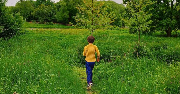 Various types of autism may be present, not just differing levels of ...