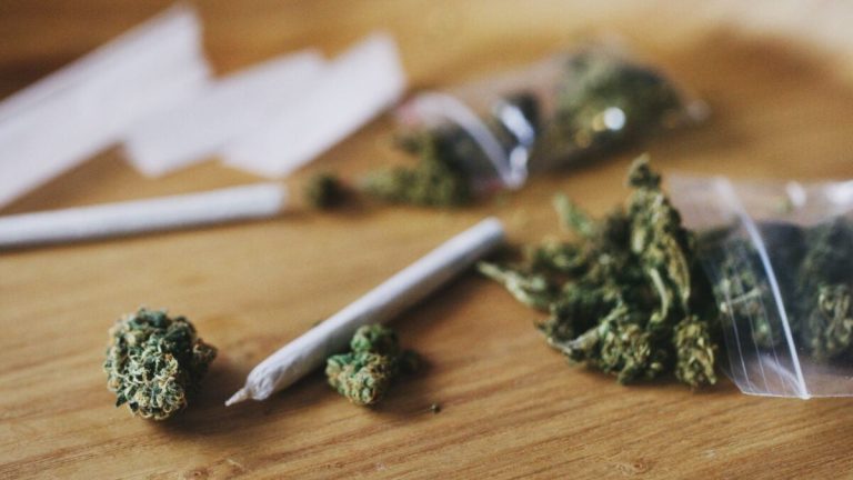 Study Reveals Increase in ‘Scromiting’ Caused by Cannabis – Total News