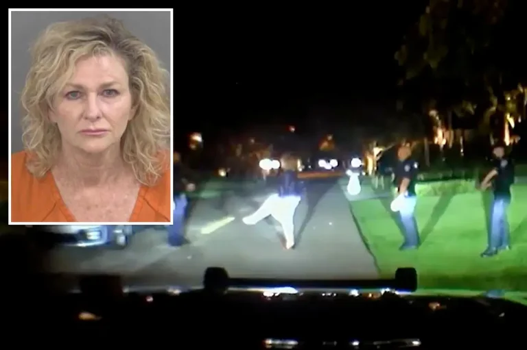 Florida mayor Teresa Heitmann taken into custody after reportedly ...